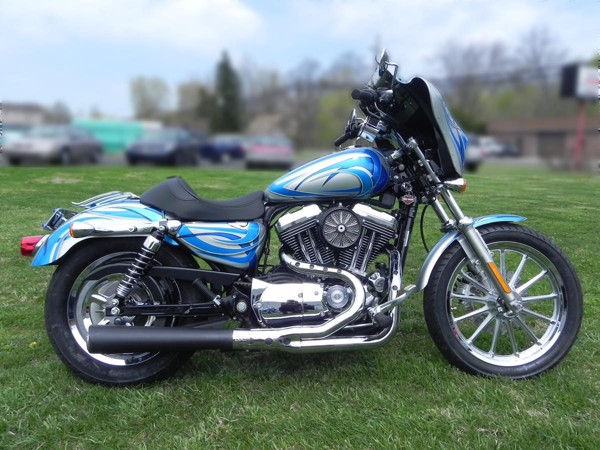 Paint Sportster Blue Silver Photo Gallery