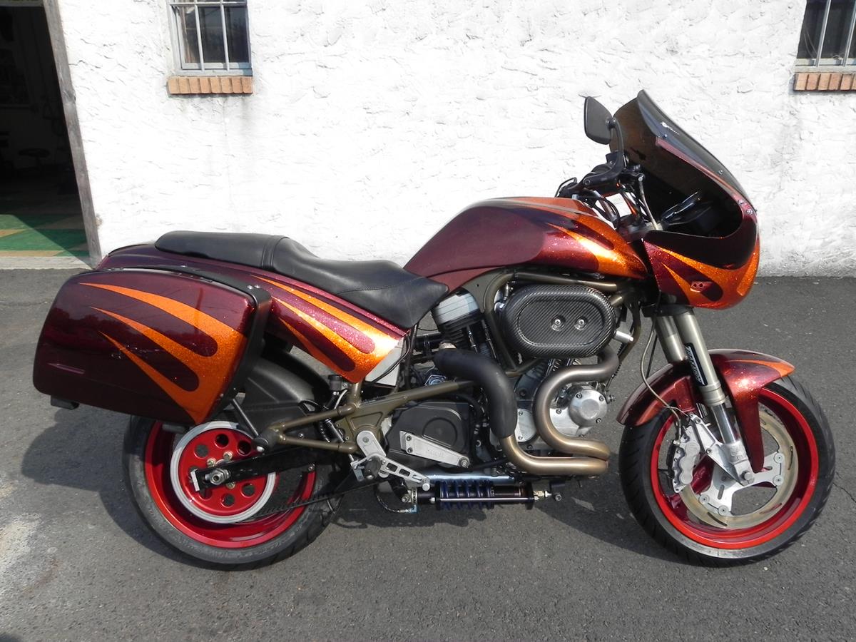 Scallops Flake RootBeer Tangerine Photo Gallery